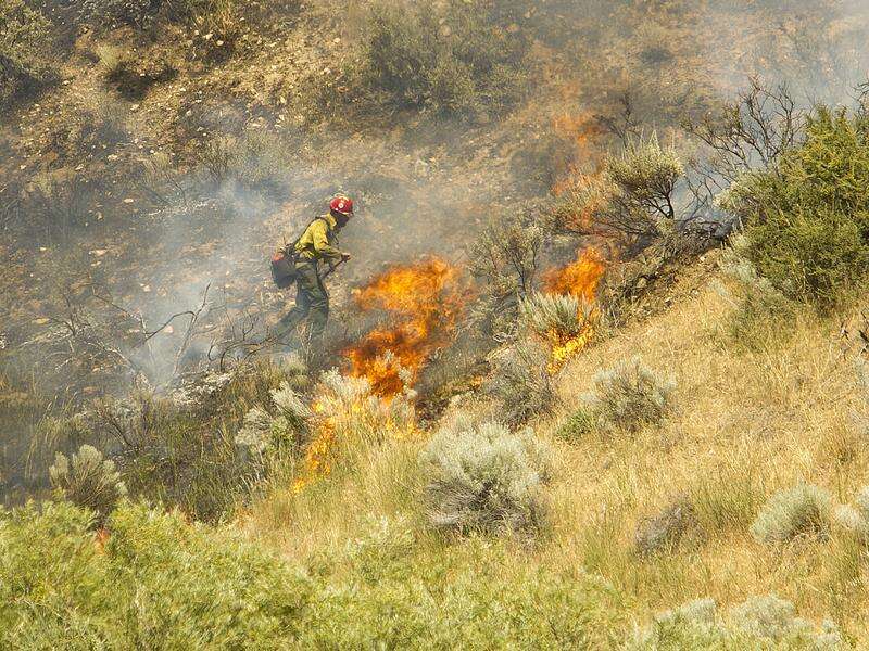 Two firefighters shot dead by sniper in US mountains | Shepparton News