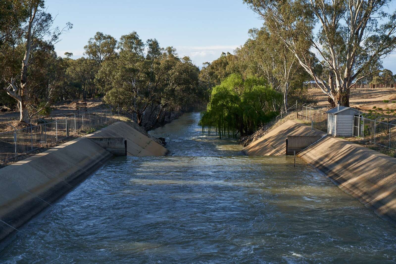 Briefings prepare farmers for drier season ahead | Dairy News Australia