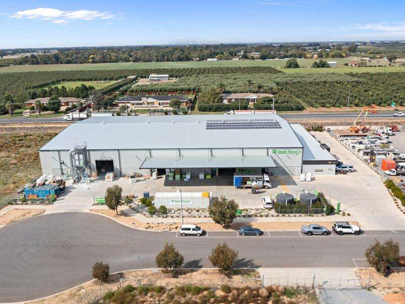 Shepparton seed giant hits the market | Shepparton News
