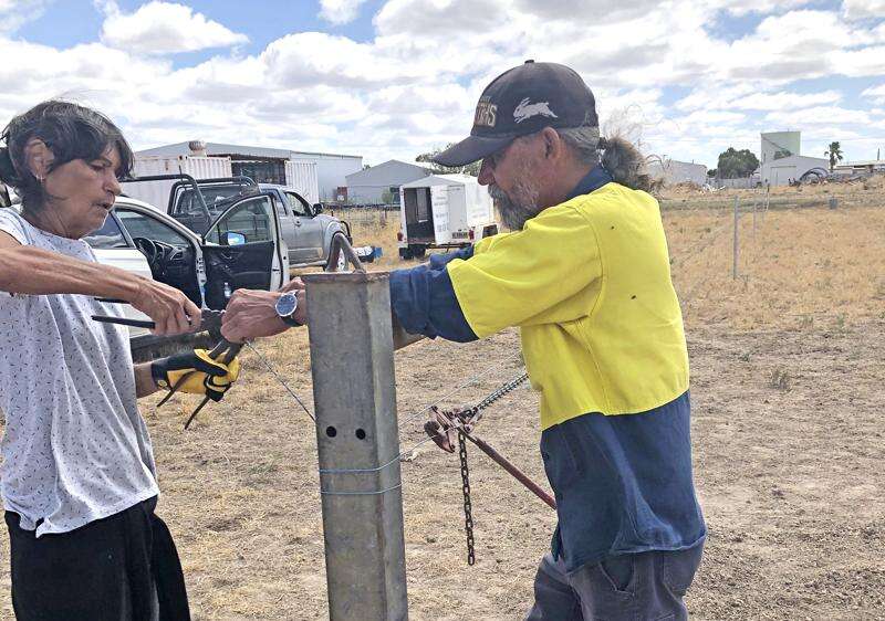 Upgrading work skills | Dairy News Australia