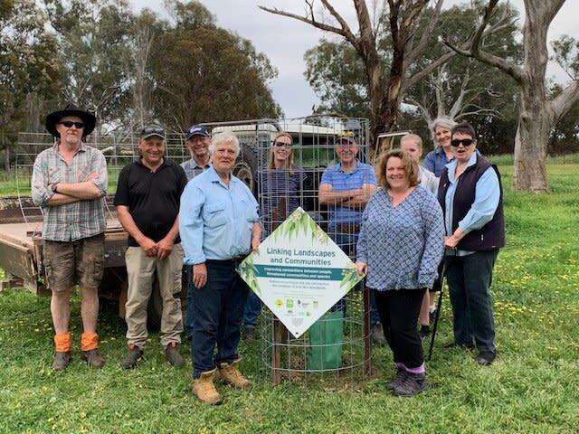 Protecting paddock trees | Country News