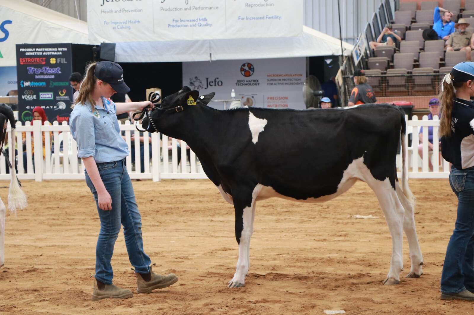 Comfort in Tatura’s cow Hilton | Country News