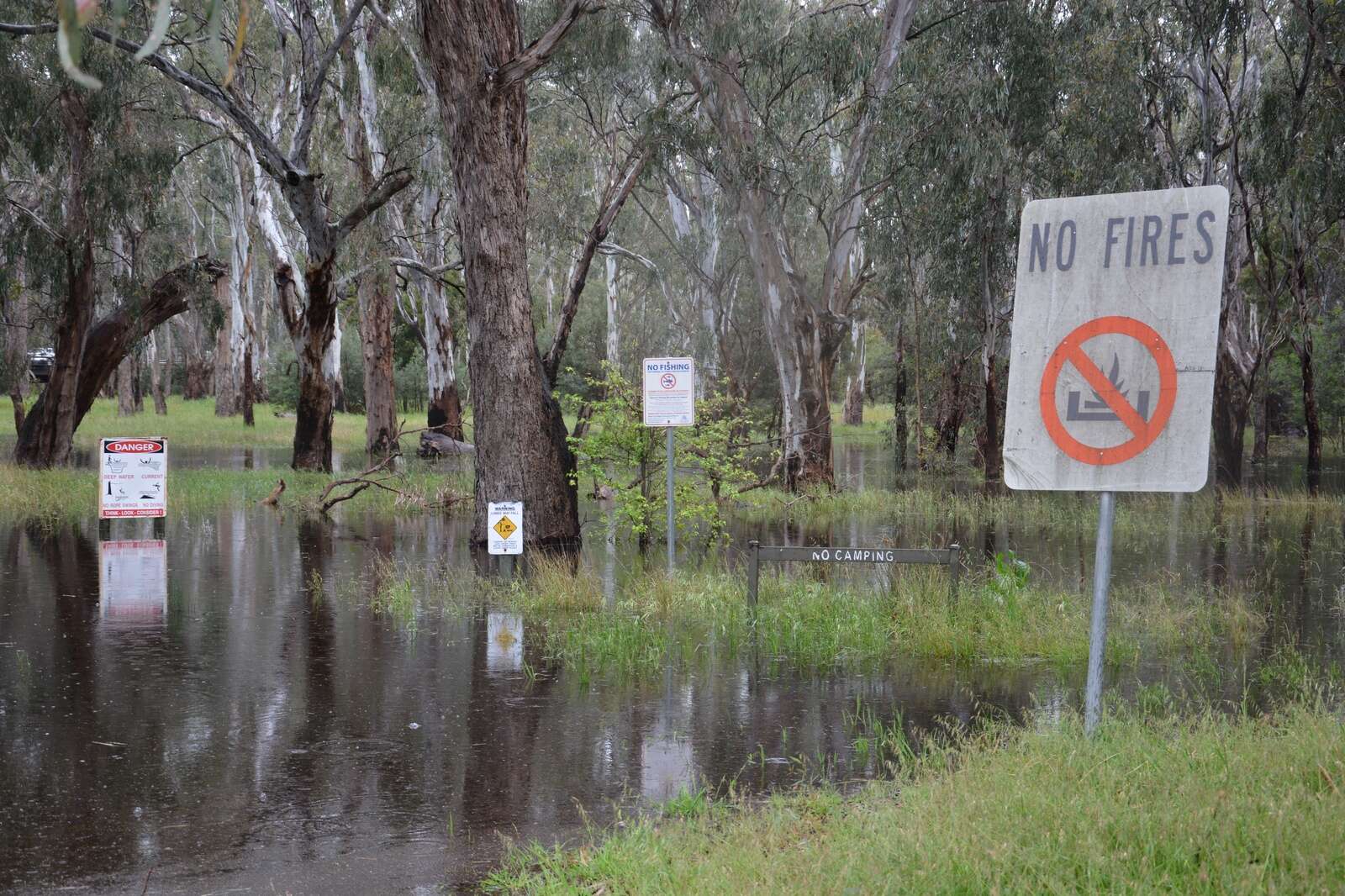 Rivers ready to burst | Dairy News Australia