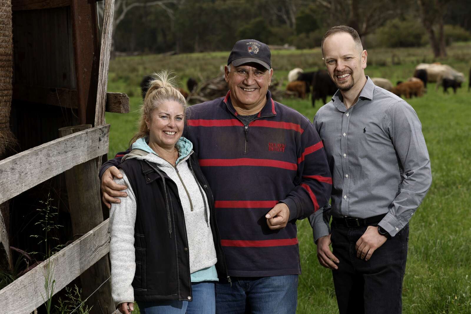 ‘Facebook for cows’ tackling cattle theft | Dairy News Australia