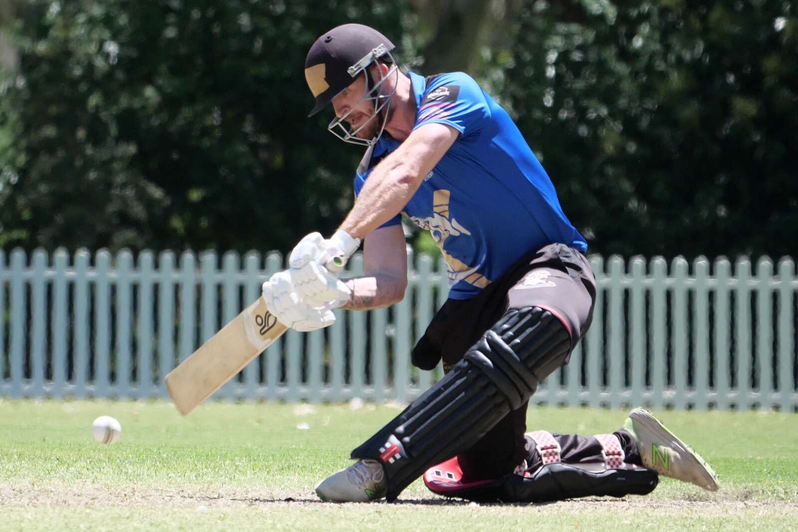 Batting and spin twin boost | Shepparton News