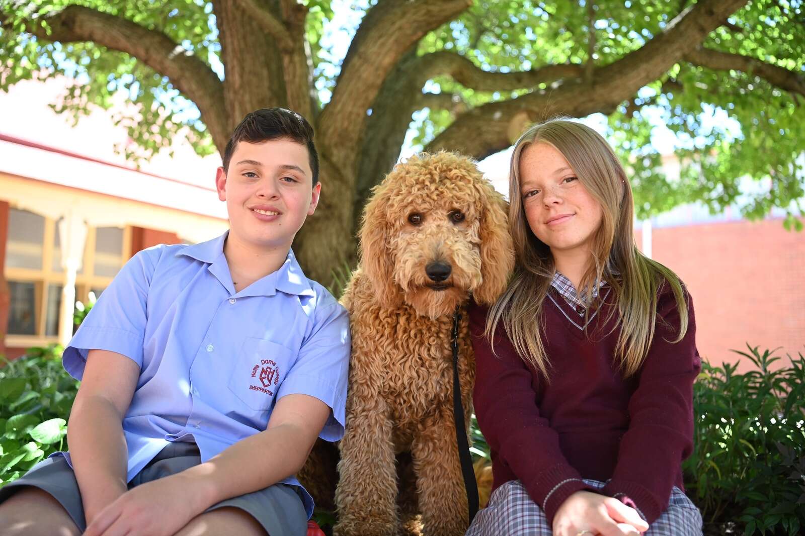 Every dog has its day at school | Shepparton News