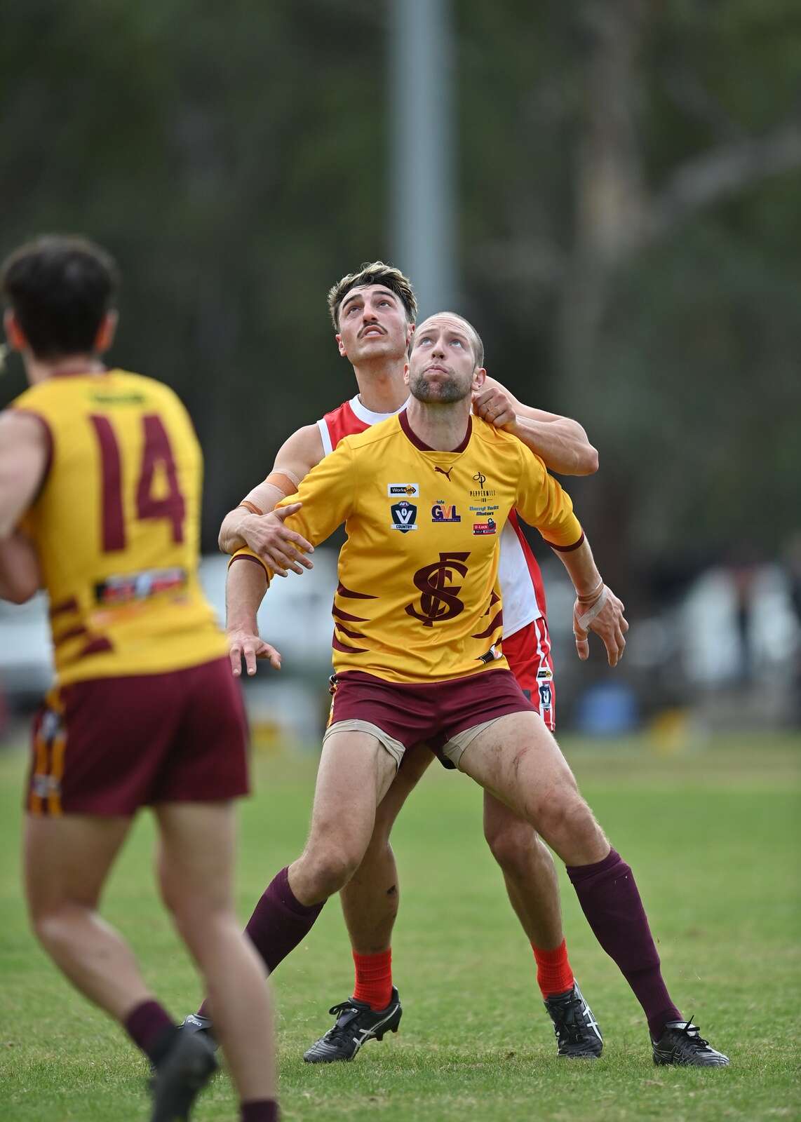 WATCH | Shepparton stands tall late | Shepparton News