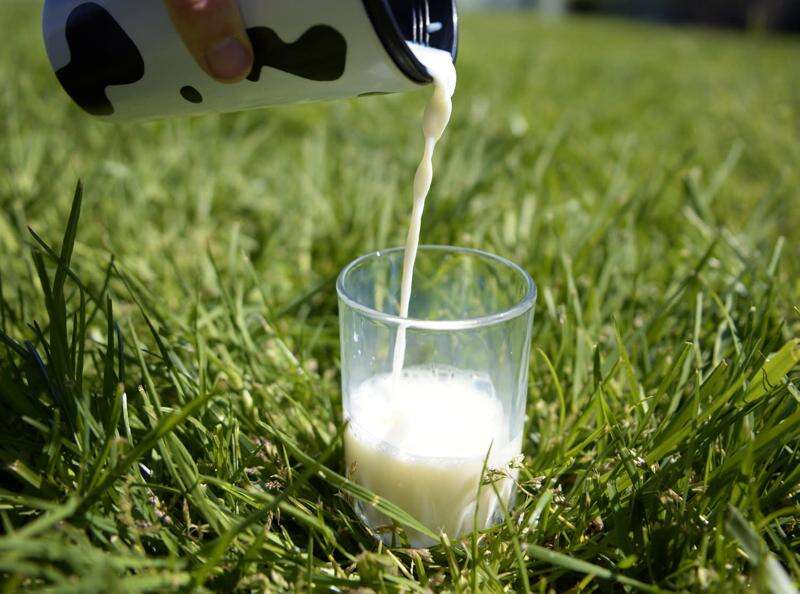 Governments dragging the chain in action on fake milks, says Dairy ...