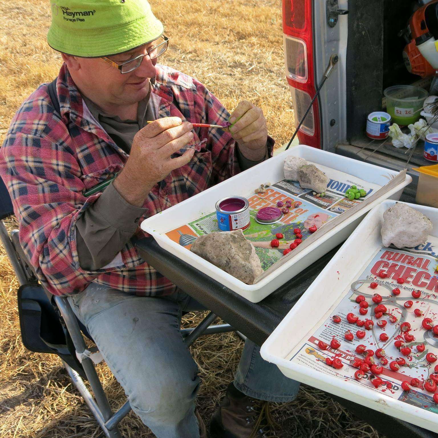Solving slippery snail problems | Dairy News Australia