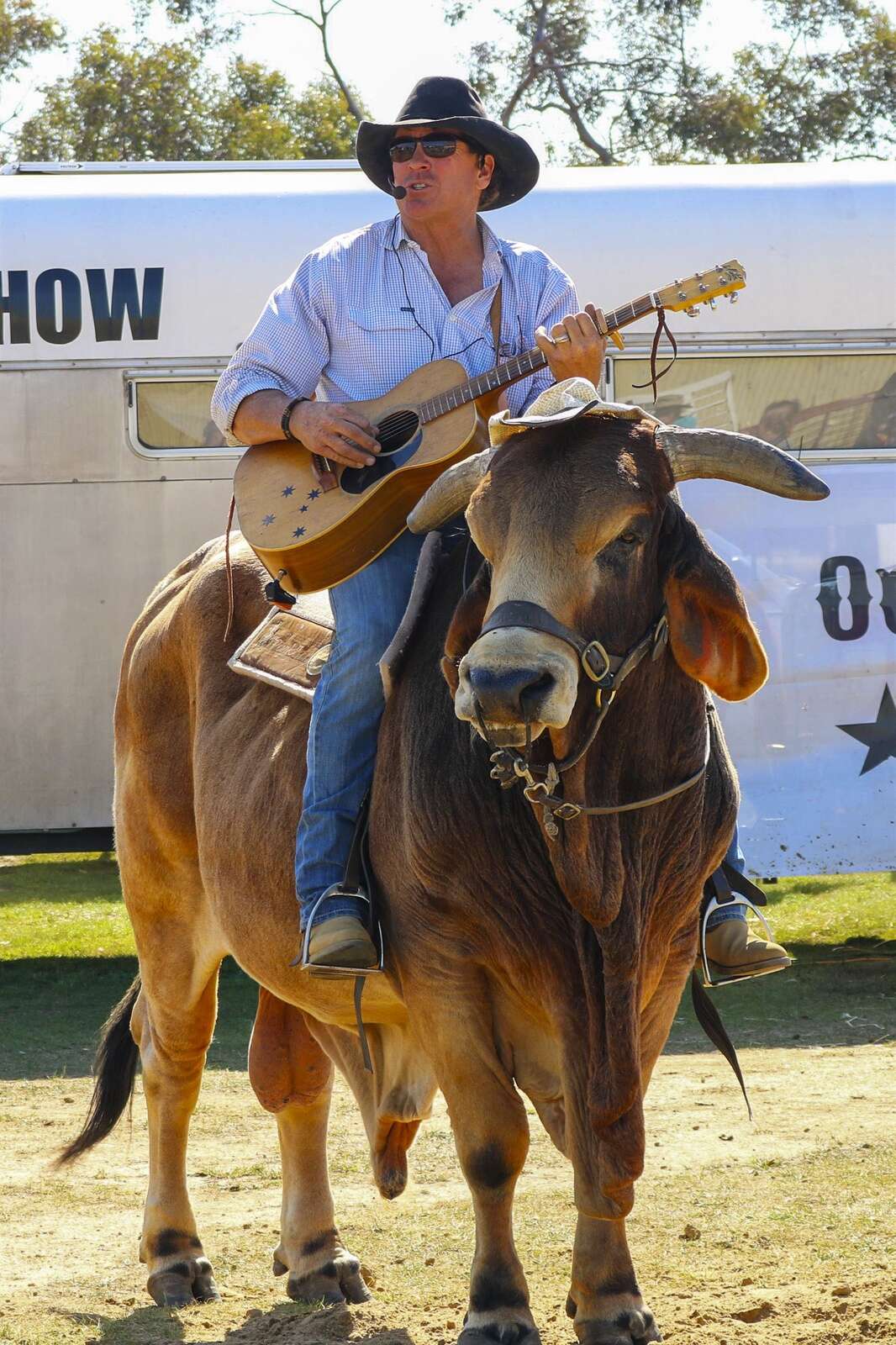 Excitement Builds for the Finley Show | Southern Riverina News