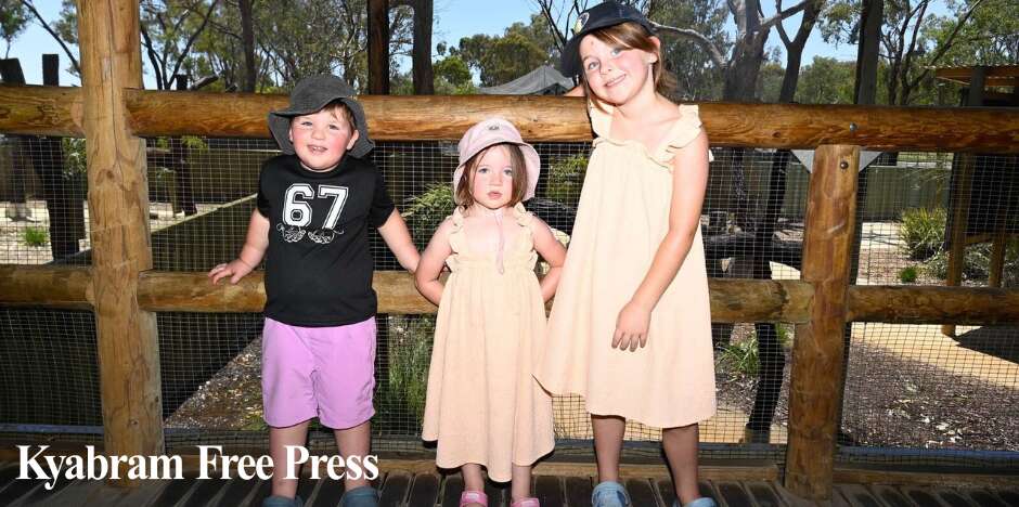 Splash park draws a summer crowd | Riverine Herald