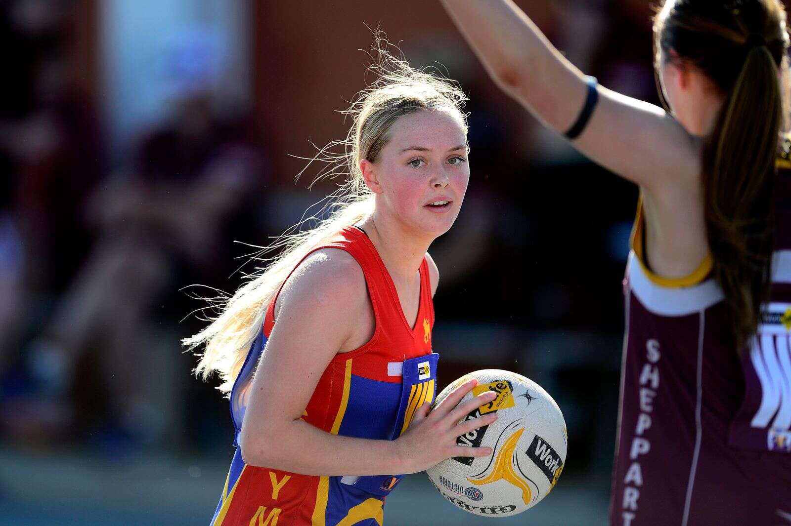Seymour netball wrap | Lions roar to hand Echuca first loss of A-grade ...