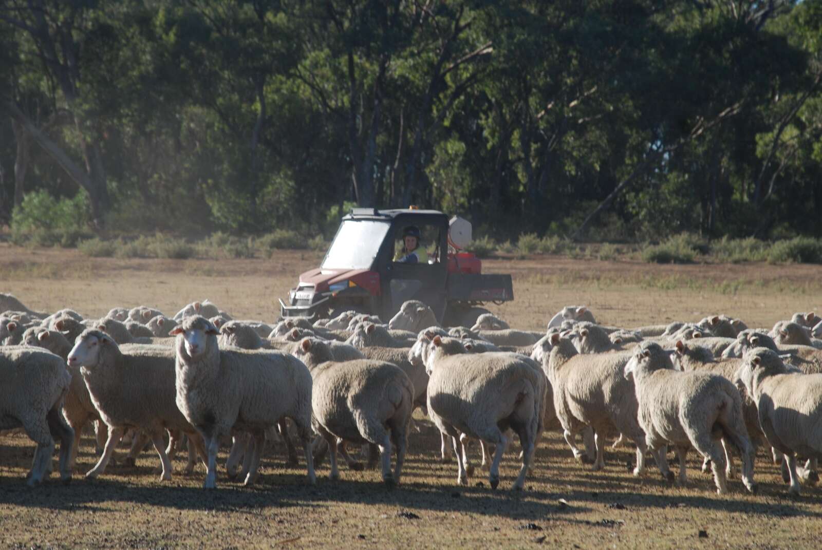 Unlock a rural passion | Dairy News Australia