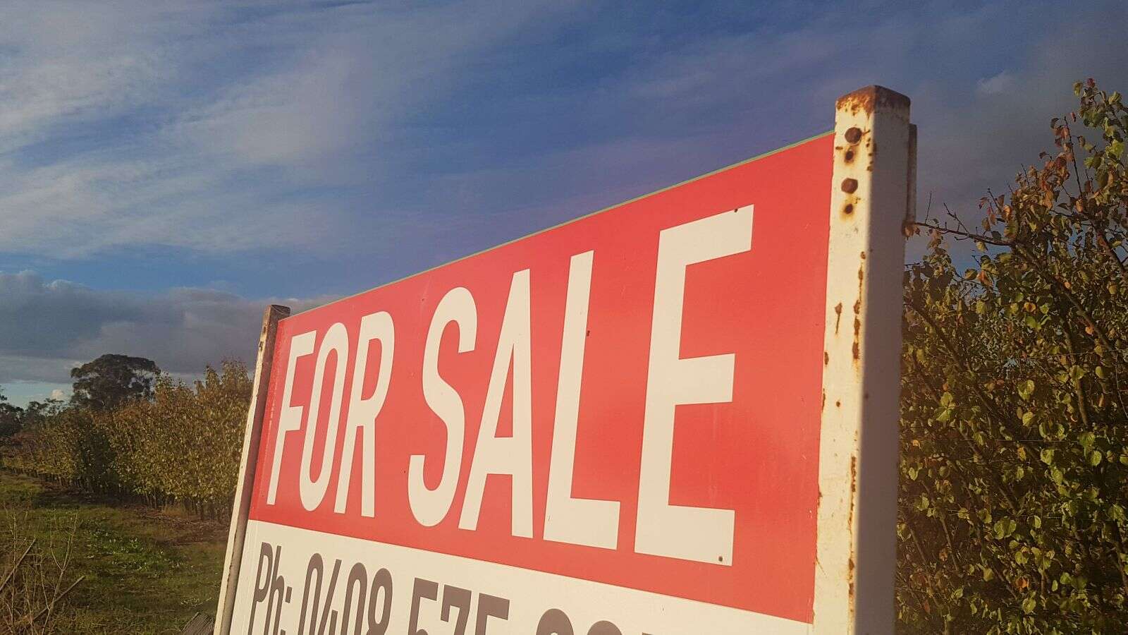 $15.6 billion of farmland sold in 2021 | Country News