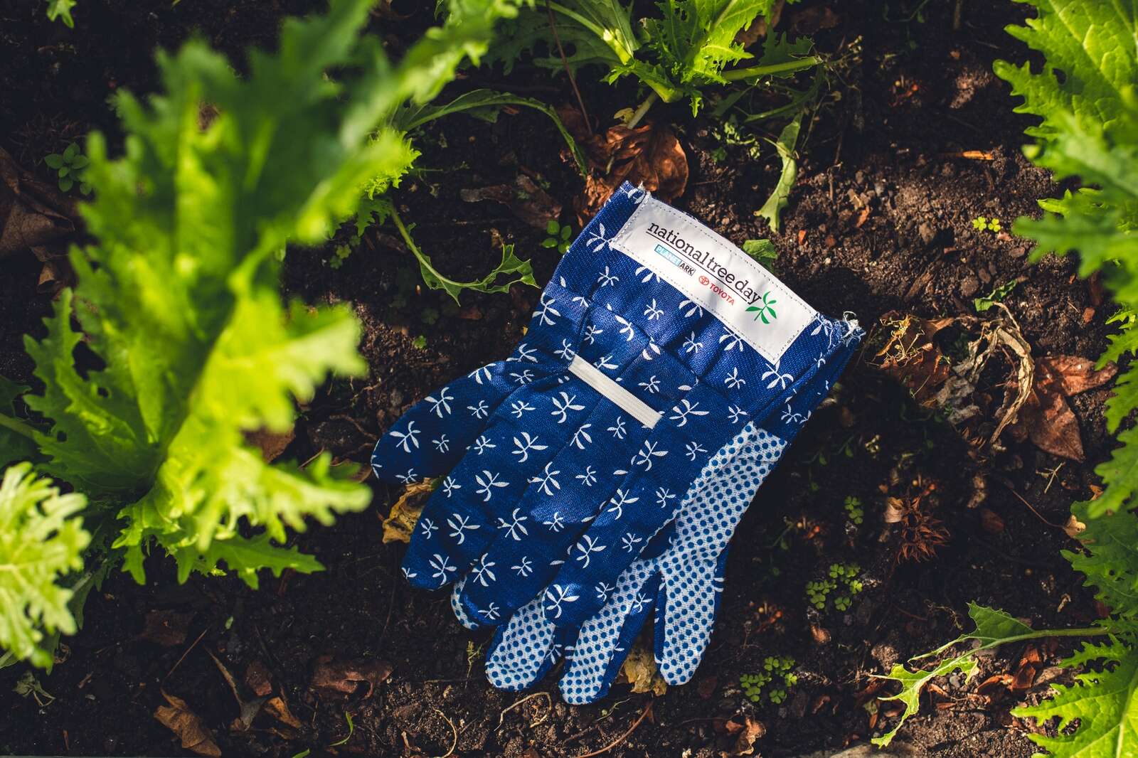 Planting seeds of change: Join National Tree Day in Shepparton ...