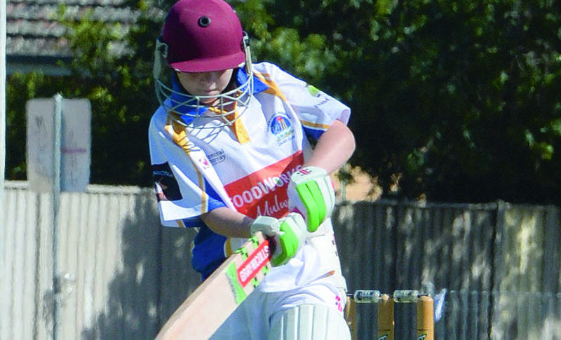 YMCC Cricket notes | Yarrawonga Chronicle