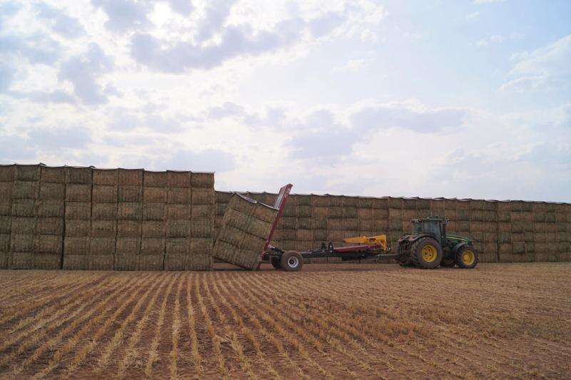 Hay Caps protecting bales from rain damage | Country News