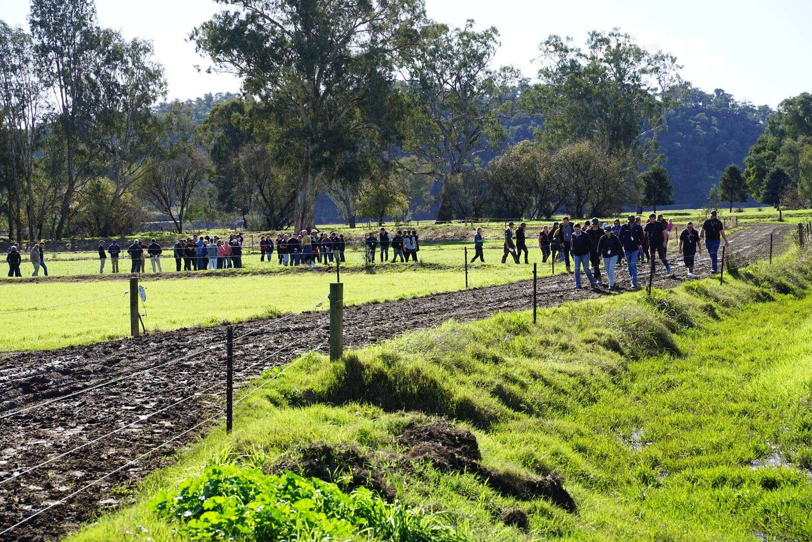 Bringing farmers together | Dairy News Australia