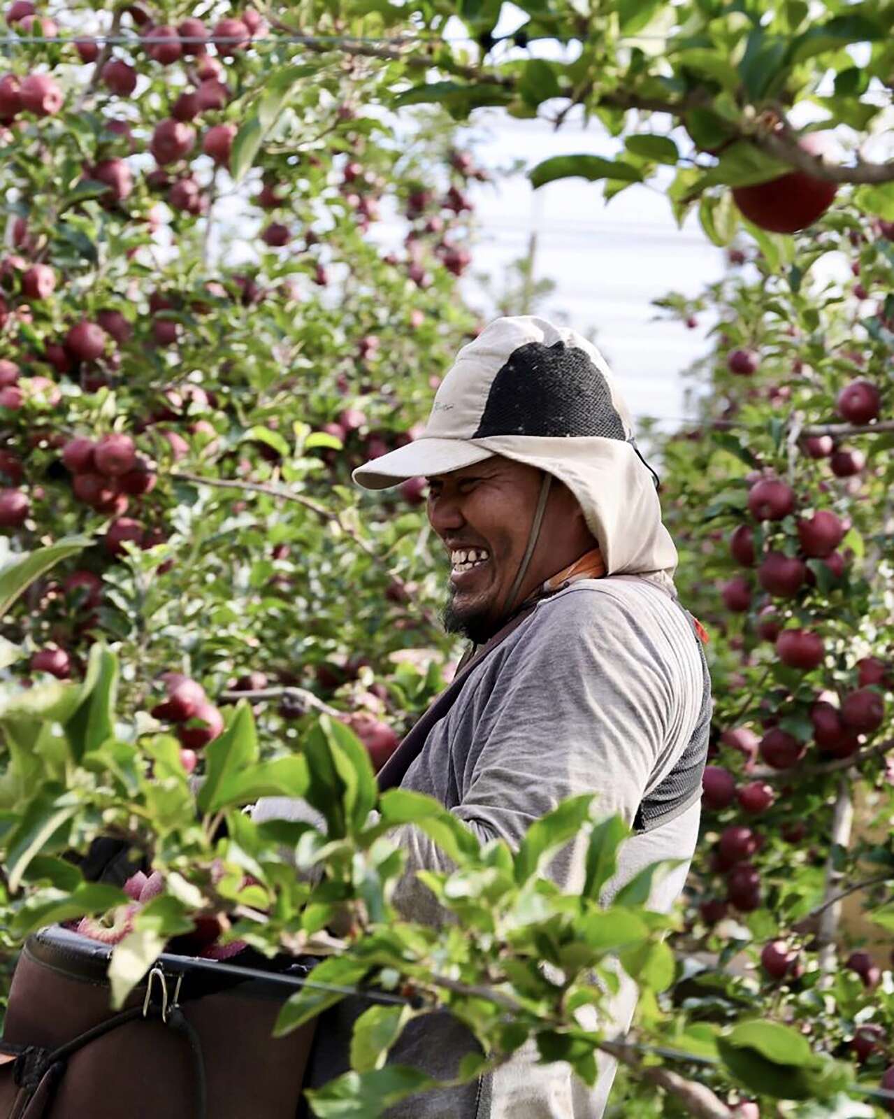 Pick of the pics captures prize | Country News