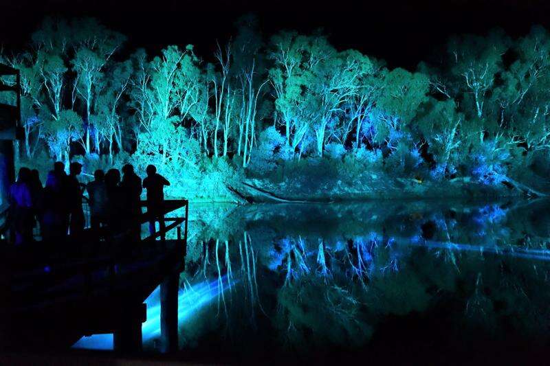 Moama lights shining bright after week one | Riverine Herald