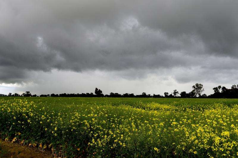 Sunday weather | Shepparton forecast | Shepparton News