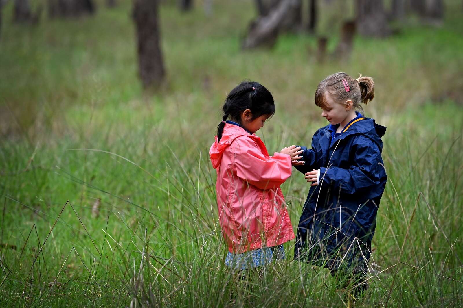 Bourchier St Primary School students head into the bush | Shepparton News