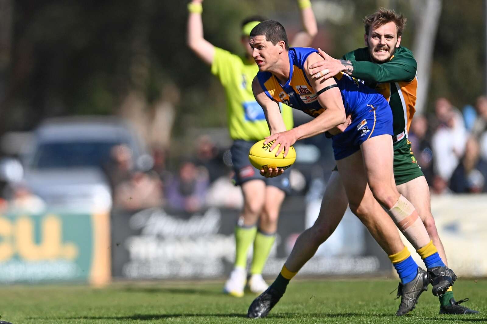 Zac’s season too good to ignore — or is it? | Seymour Telegraph