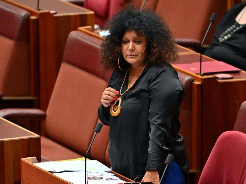 More work needed before alcohol ban opt out: senator | Country News