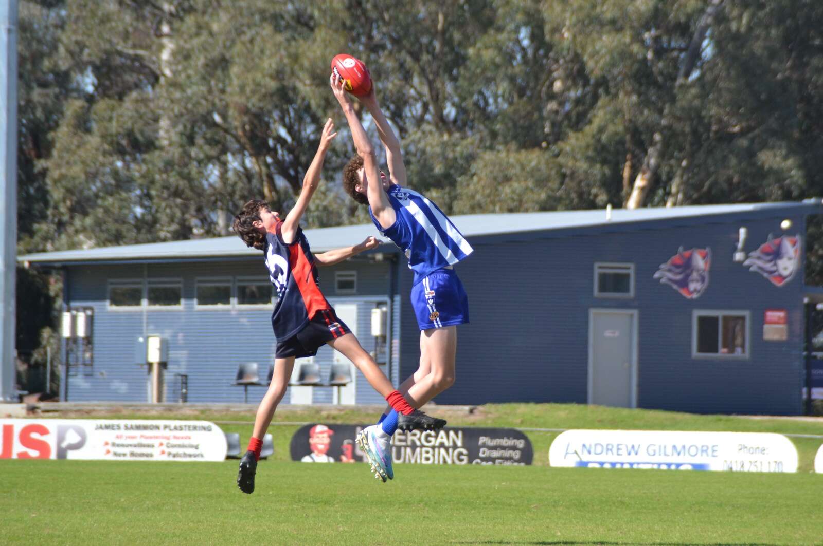 Young Roos dominate the Raiders | Shepparton News
