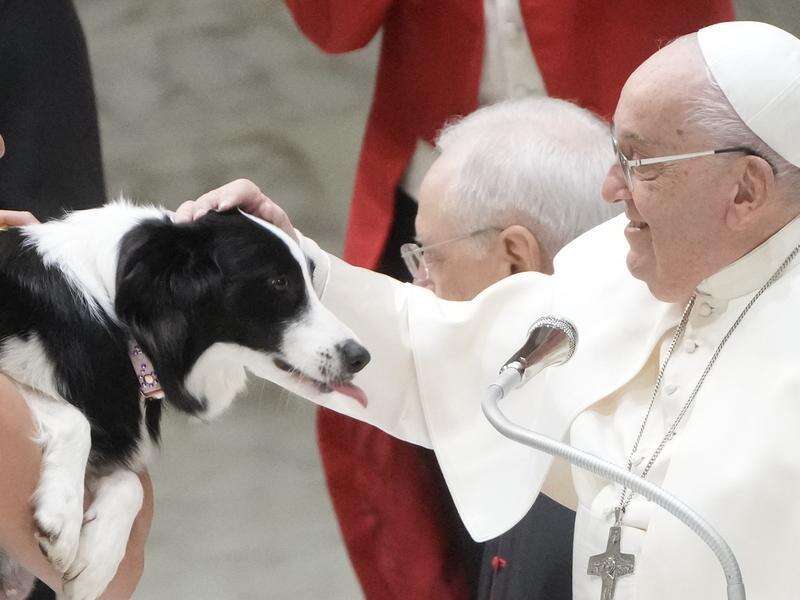 Pope Francis falls and injures forearm, Vatican says | Cobram Courier