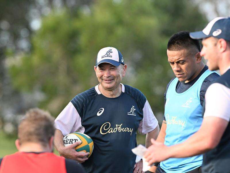 Jones, Wallabies plot Rugby World Cup smash and grab | Kyabram Free Press