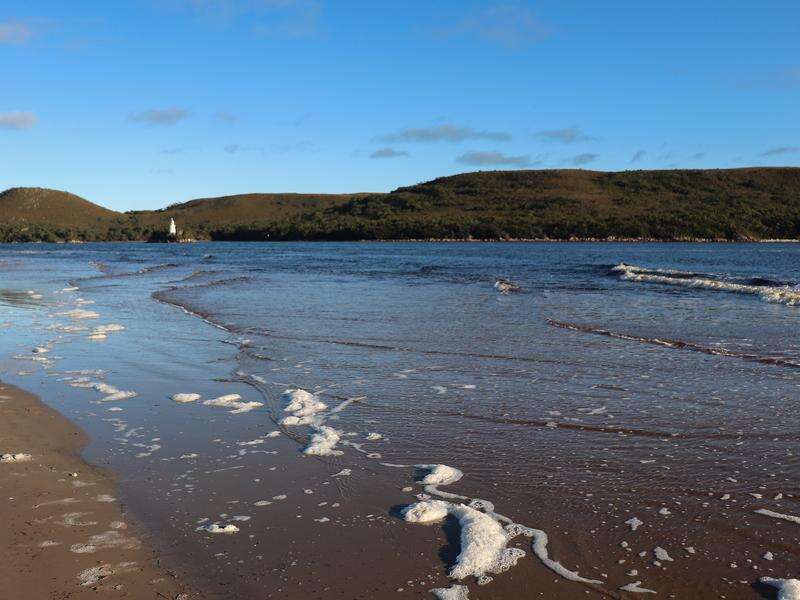 Federal watchdog planned to target environmental damage | Shepparton News