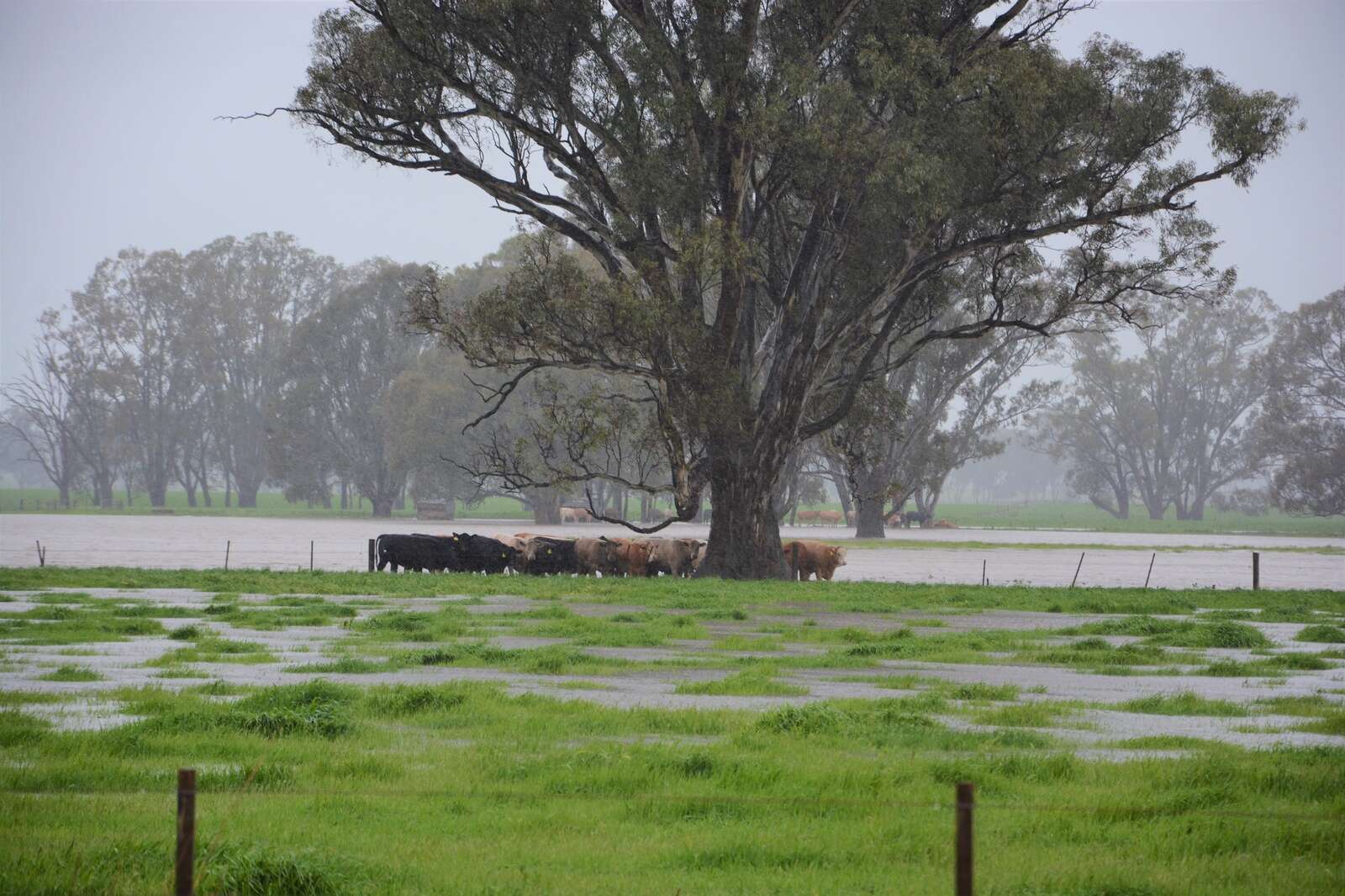 Plan to build region’s emergency resilience | Country News