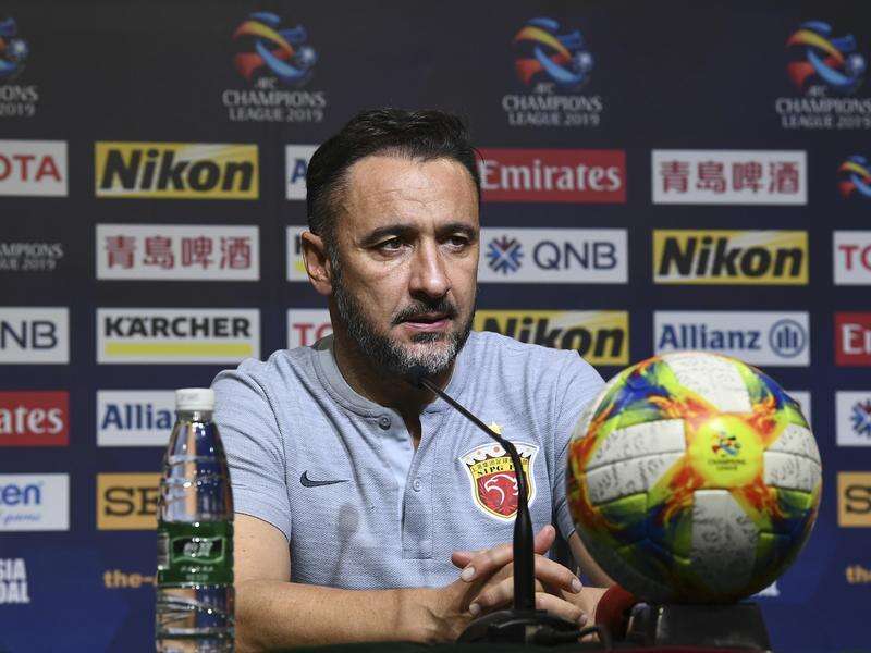 Portuguese Vitor Pereira appointed as Wolves manager | Country News