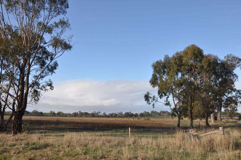 Strathbogie Shire Council starts to implement A-G Office report's ...