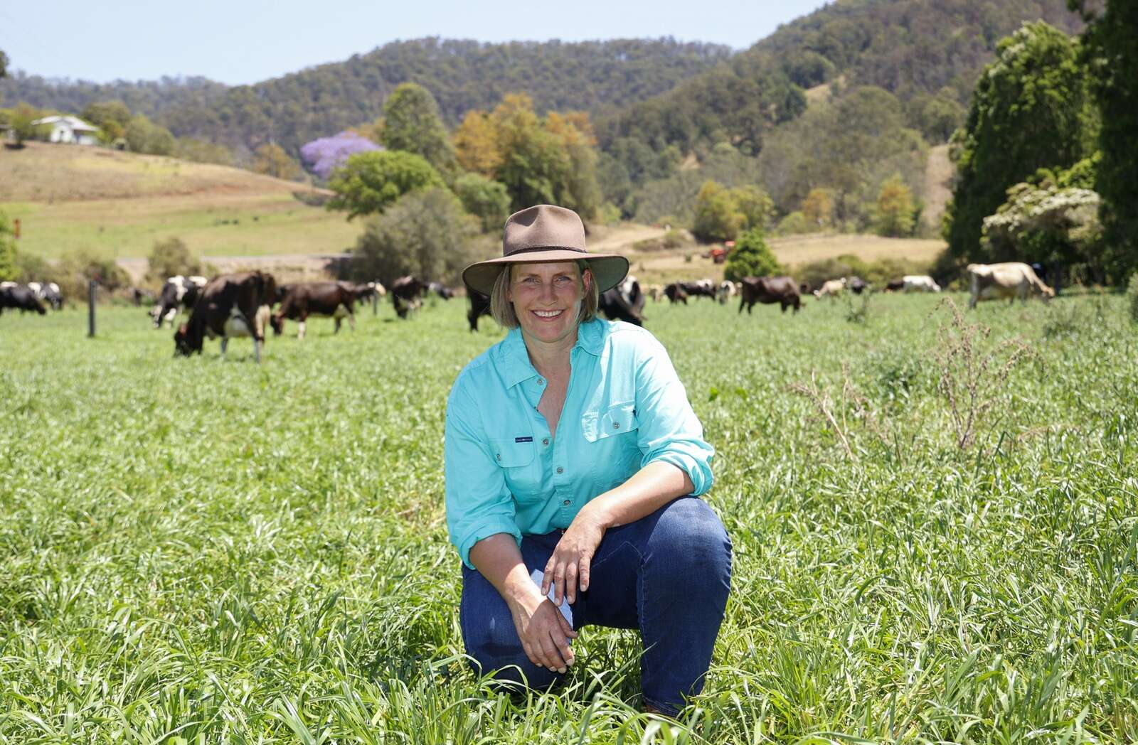Woolworths fund finds $1.5m for innovative dairy farmers | Dairy News ...