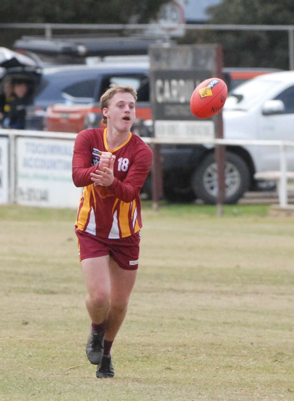 Nail-biting win for the Senior Bears | Shepparton News