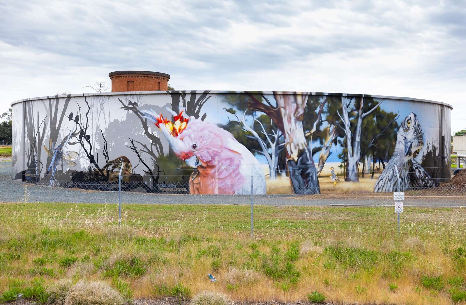Explore Campaspe Art Trail | Shepparton News