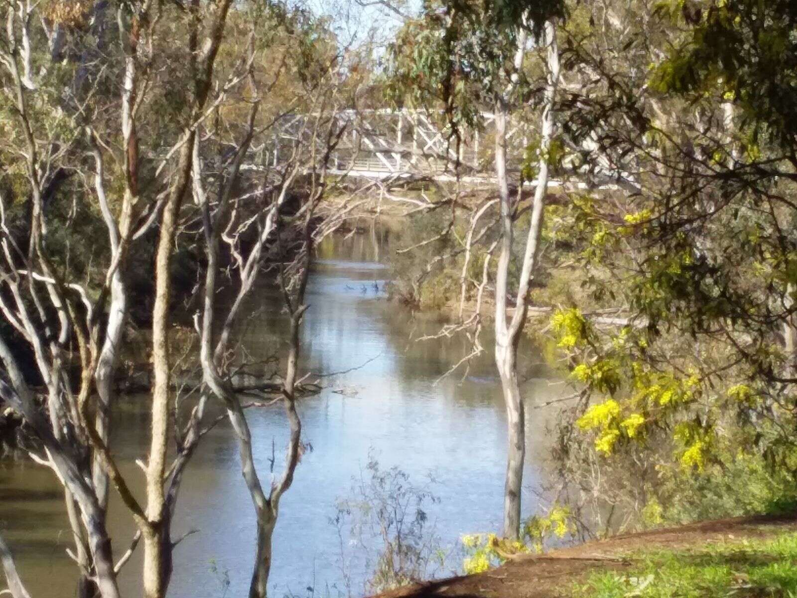 Meaning behind numbers | Country News