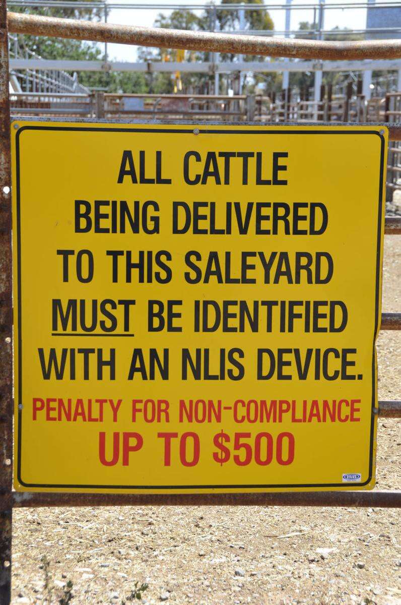 Workshops to better understand livestock identification system ...