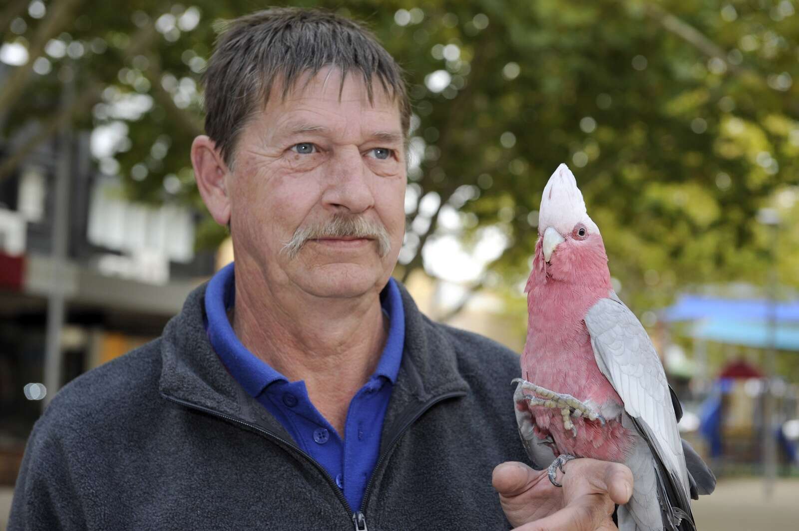 Vale Tony Valasinavicius | Seymour Telegraph