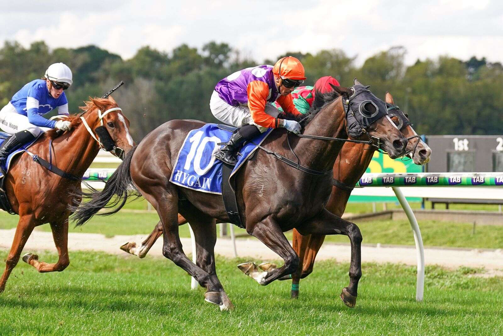 Court Painter salutes at odds to deliver Ivan Lister drought-breaking ...