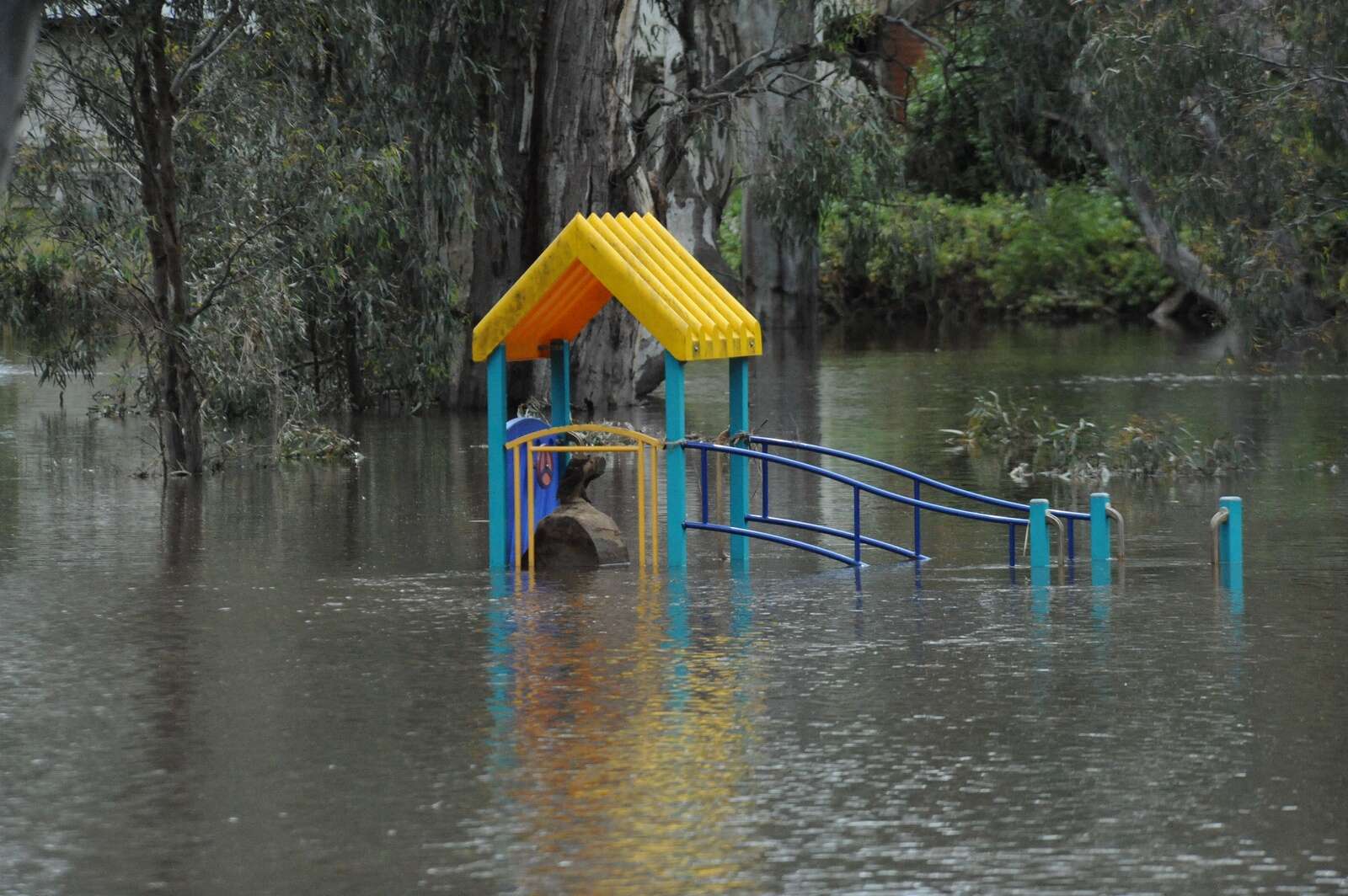 Have your say on the Echuca flood plan | Country News