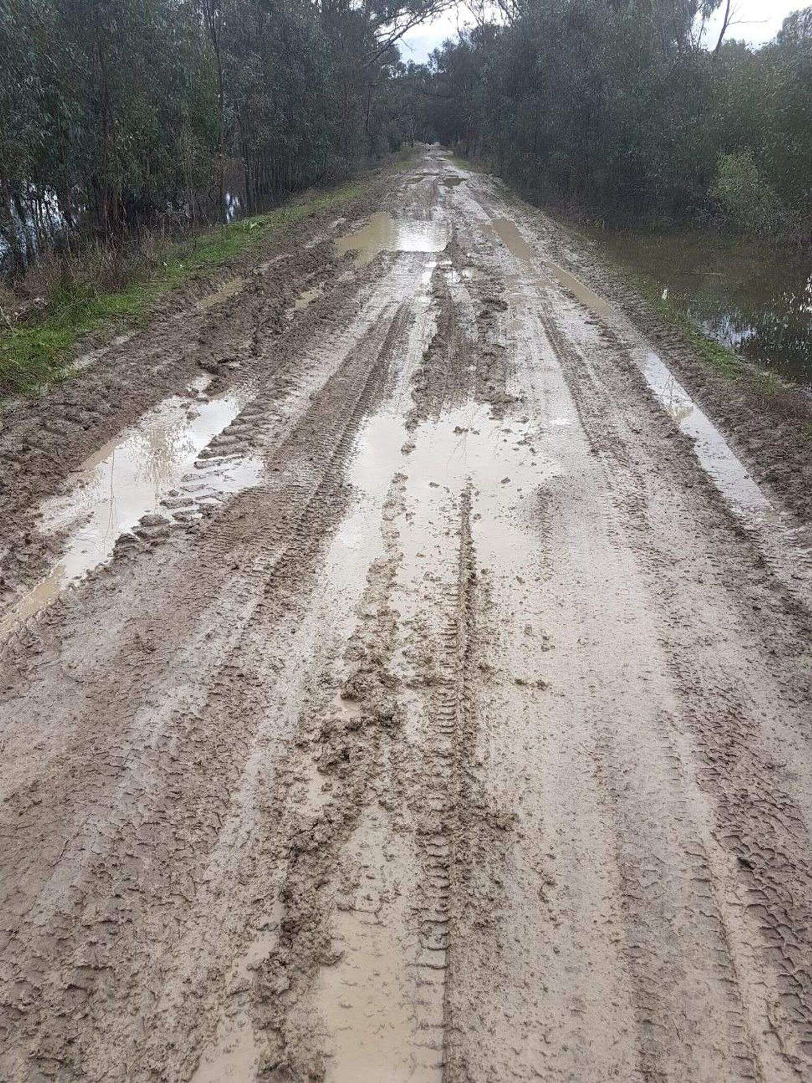 Strong roads committee interest | Dairy News Australia