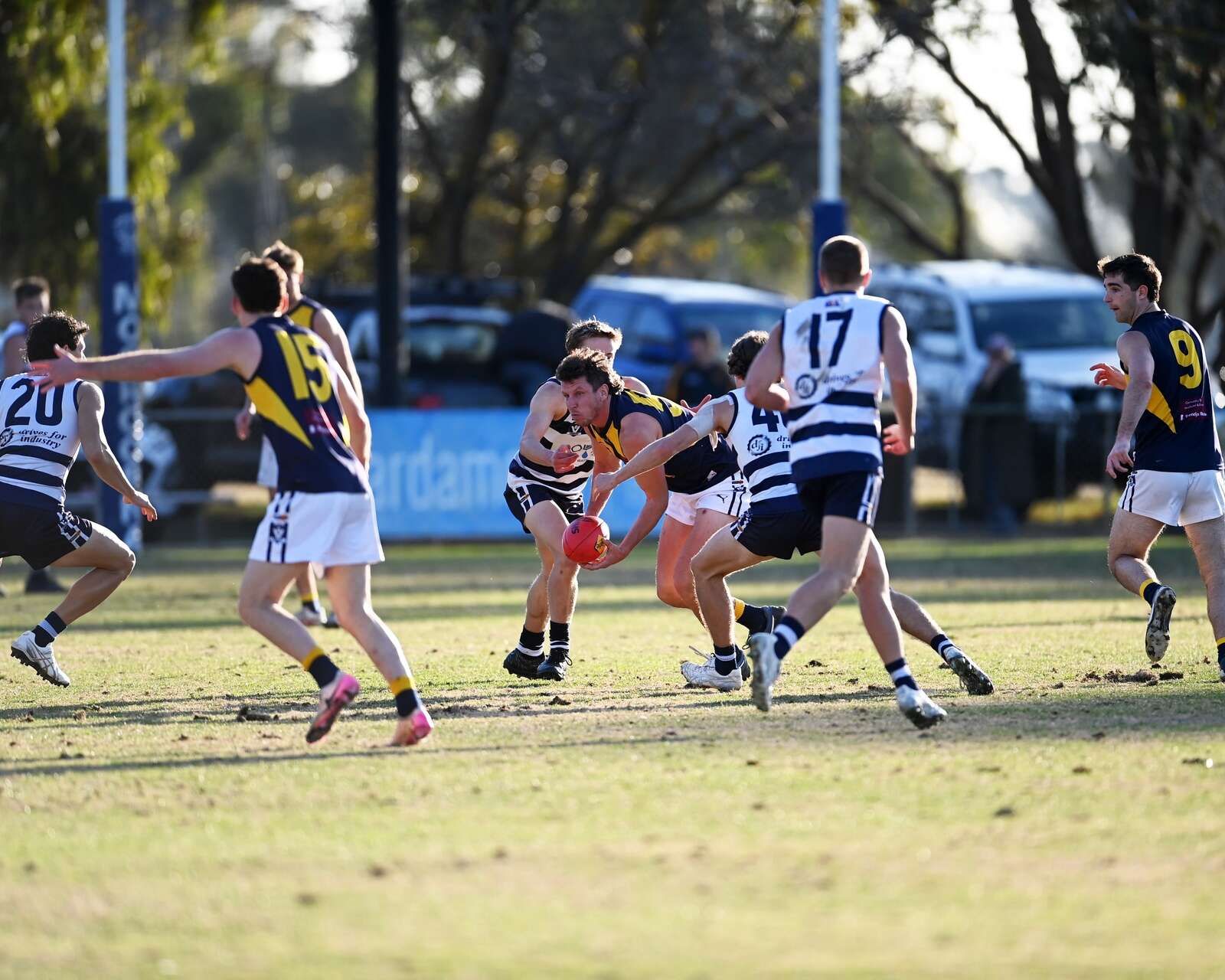 Mansfield on target against the Cats with Eagle-eyed showing from seven ...