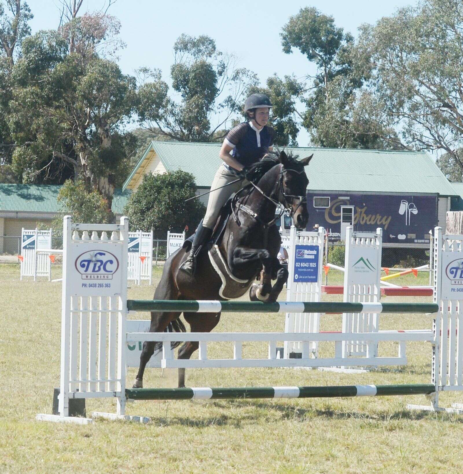 Welcome back to the horse show | Shepparton News