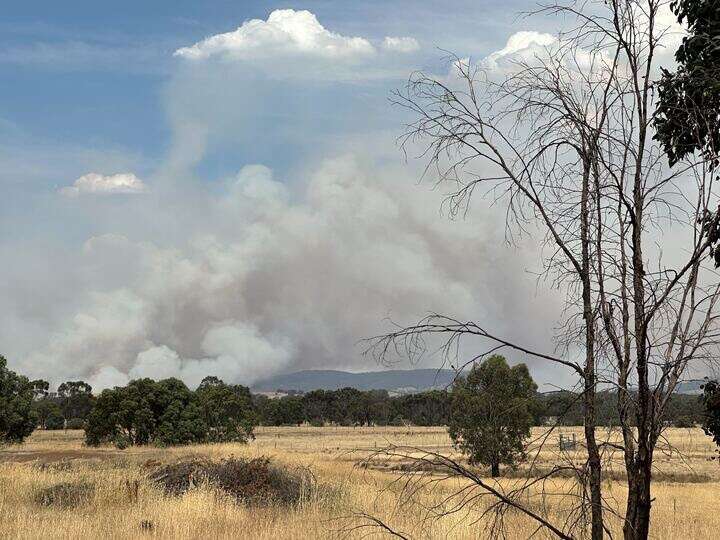 Cattle farmer dies | Country News