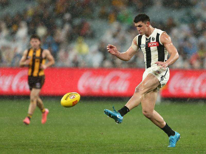 Pies' Maynard learns fate for striking Hawk Ginnivan | Benalla Ensign