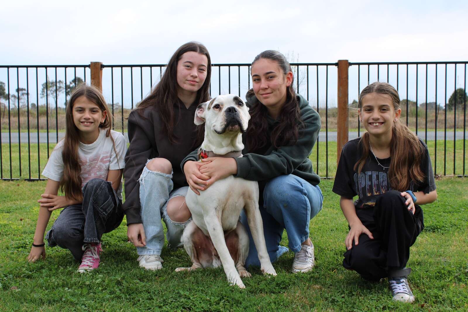 Don’t put big breeds in a box | Dairy News Australia
