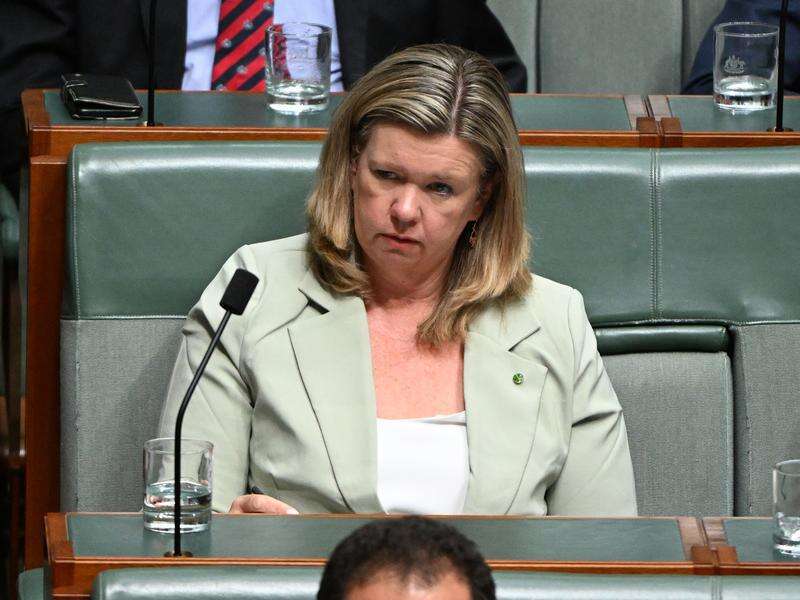 Liberal MP breaks ranks with party on safeguard stance | Kyabram Free Press